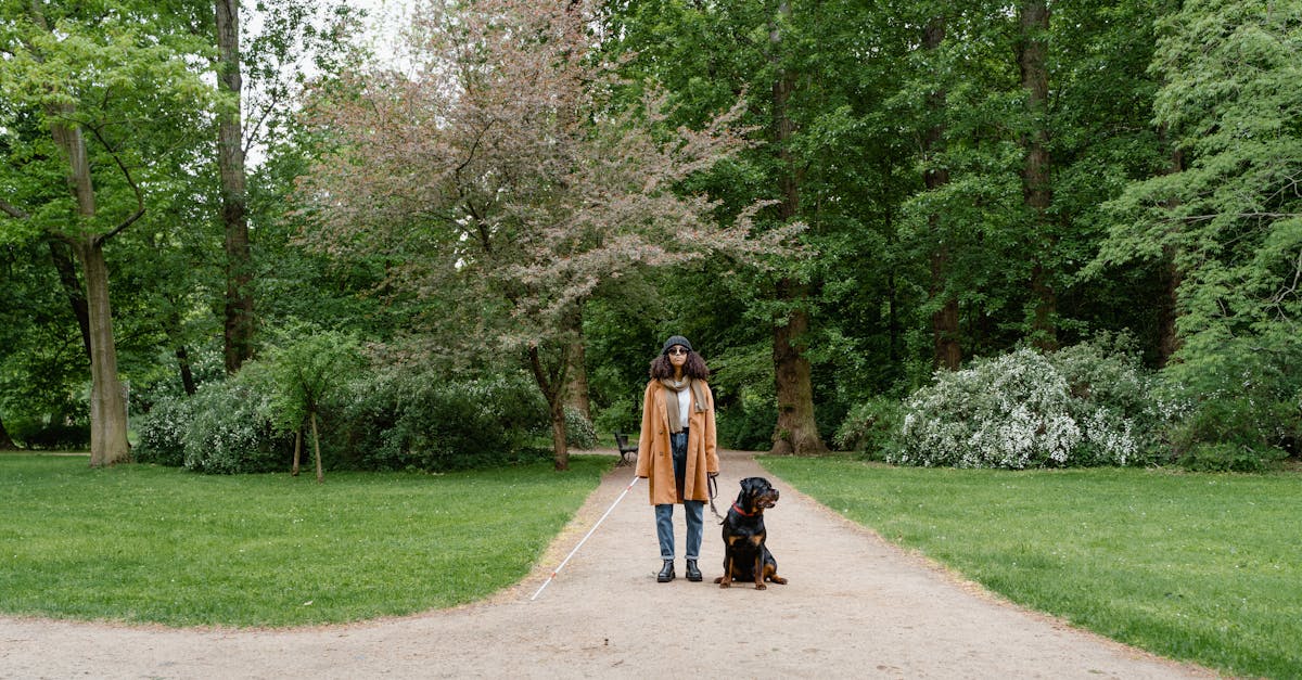 Visite de l'école de chiens guides et découverte du bois de Vincennes ...